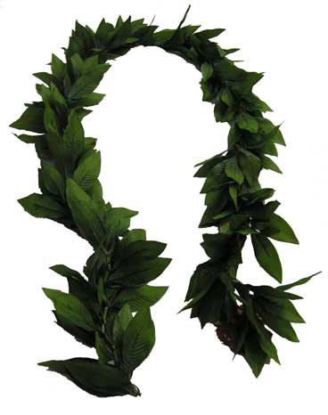 Hawaiian Leis For Men
